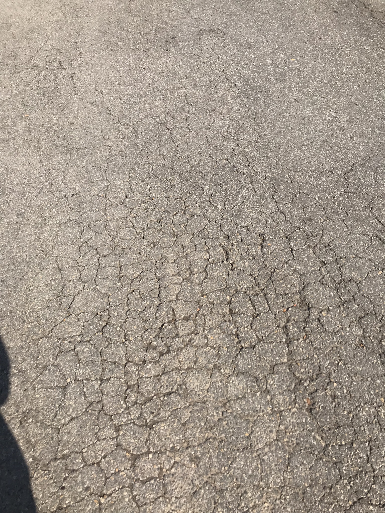 Welcome Group - 35 | Asphalt Paving | Austin, Tx » Alpha Paving Industries